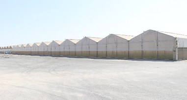 Al Waha Agriculture – Agrico